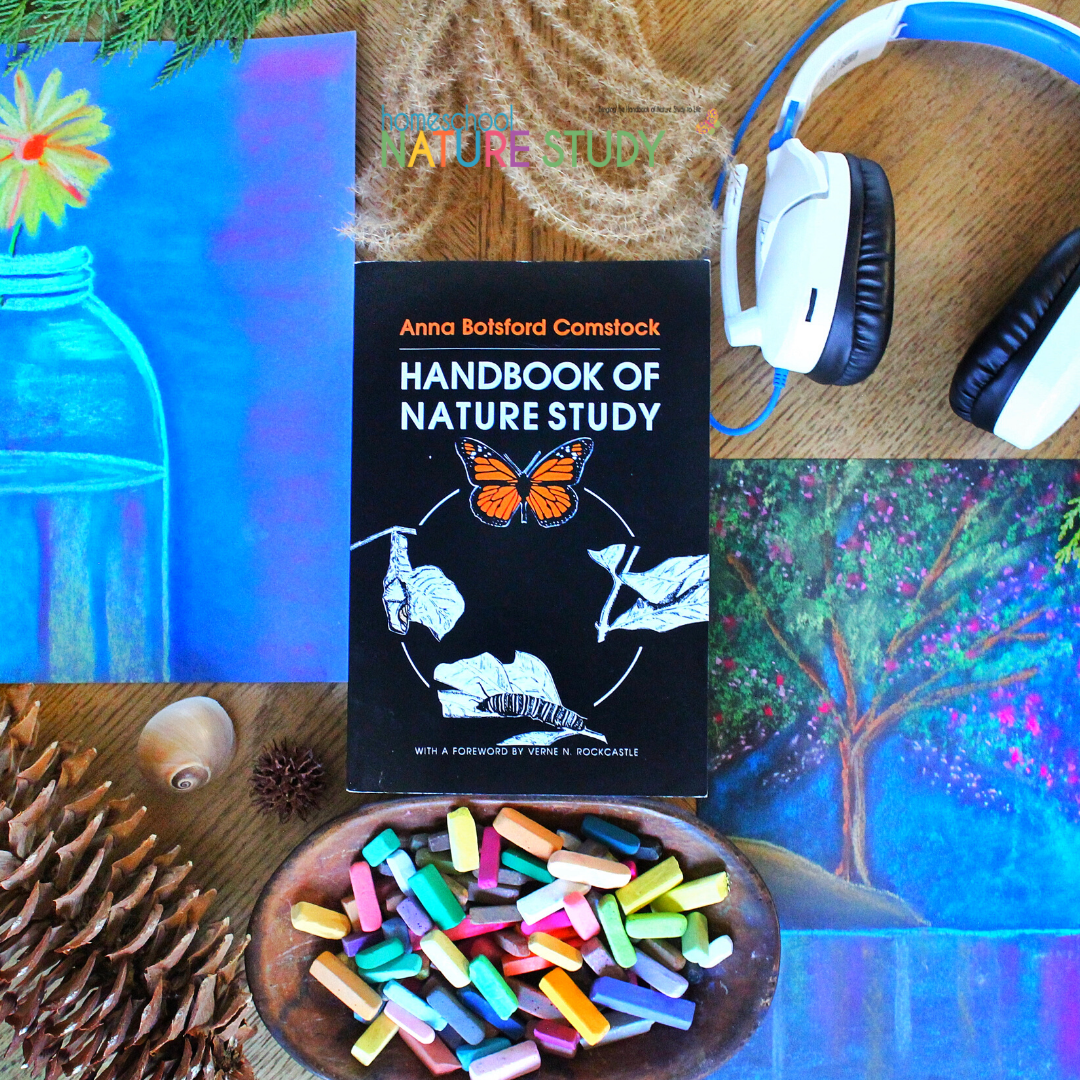 The Beauty Of Art And Nature Study In Your Homeschool - You ARE an ARTiST!