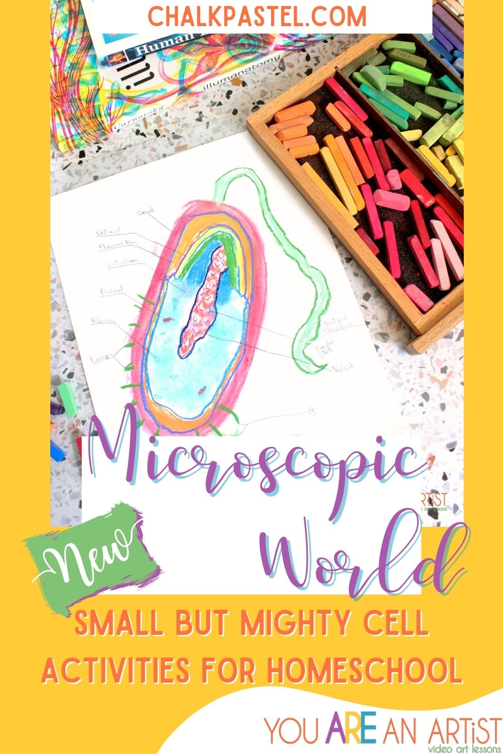 Small But Mighty Cell Activities For Your Homeschool - You ARE an ARTiST!