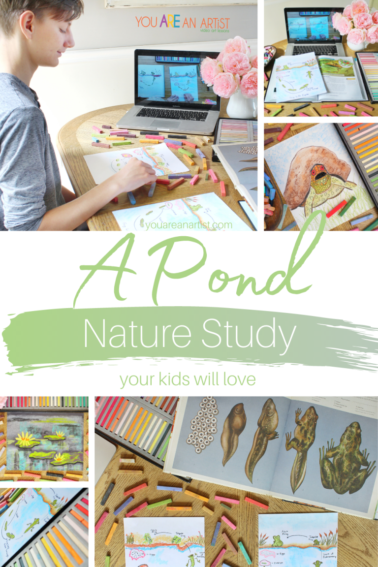A Pond Nature Study Your Kids Will Love! - You ARE an ARTiST!
