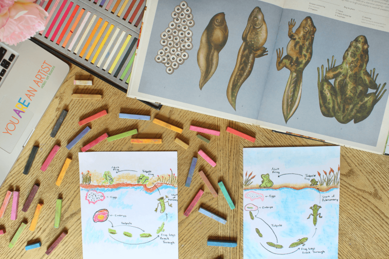 A Pond Nature Study Your Kids Will Love! - You ARE an ARTiST!