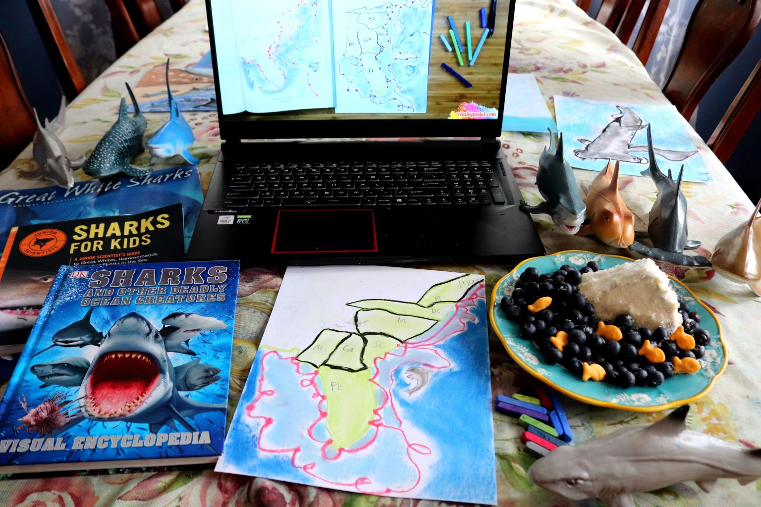 Dive Into This Shark Homeschool Unit Study : STEAM Lessons and ...