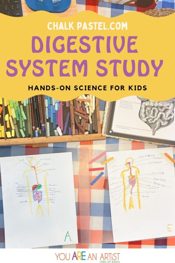 Digestive System Study: Hands-On Science For Kids - You ARE an ARTiST!