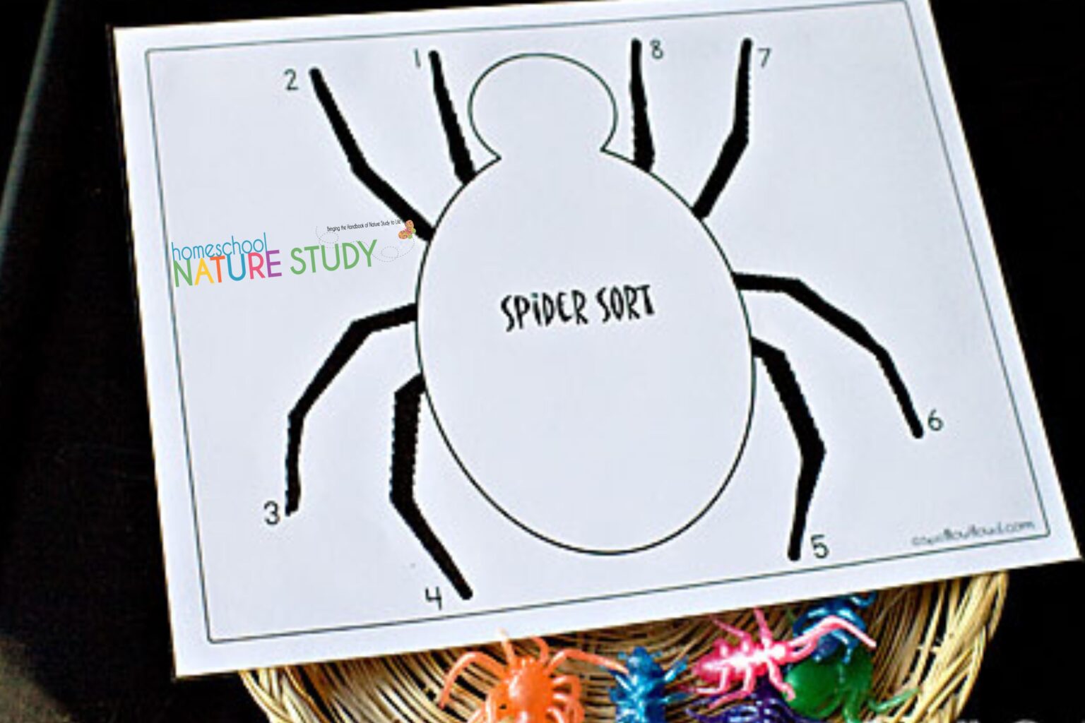 The Very Busy Spider: Craft Activities For Kids - You ARE an ARTiST!