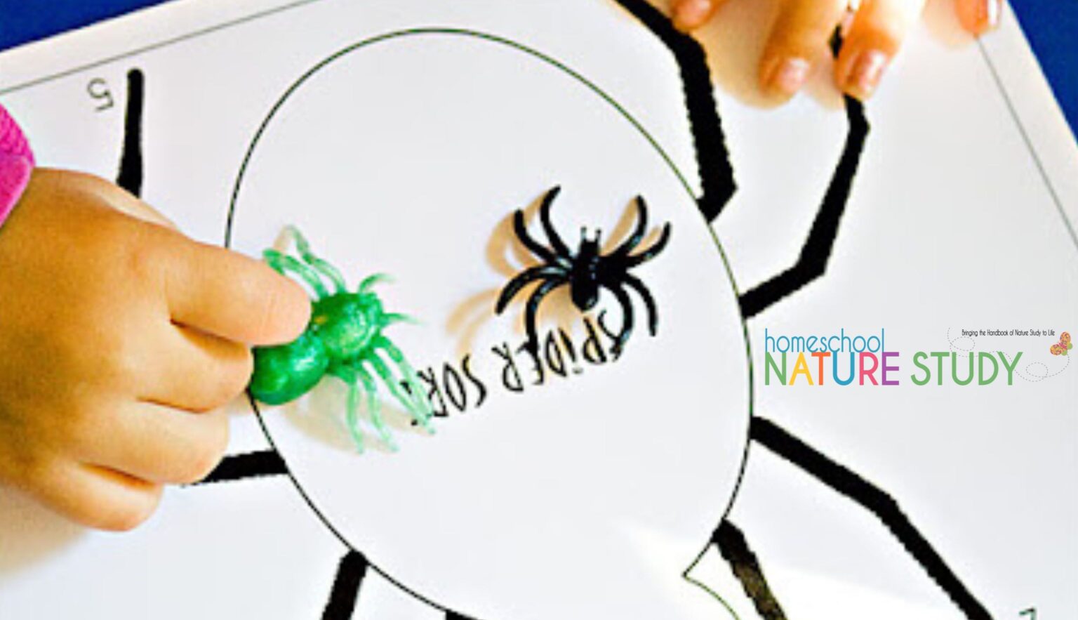 The Very Busy Spider: Craft Activities For Kids - You ARE an ARTiST!