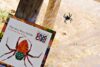 The Very Busy Spider: Craft Activities For Kids - You ARE an ARTiST!