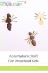 Awesome Ants Learning Activities for Kids - You ARE an ARTiST!