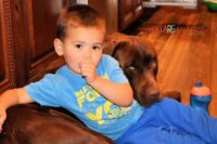 Learning About Dogs: Kids Will Love These Activities! - You ARE an ARTiST!