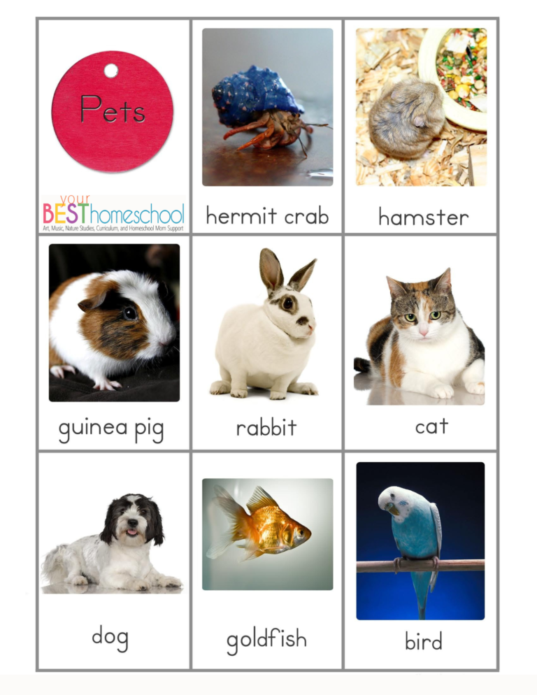 7 Pet Art Activities Perfect For Preschoolers - You ARE an ARTiST!