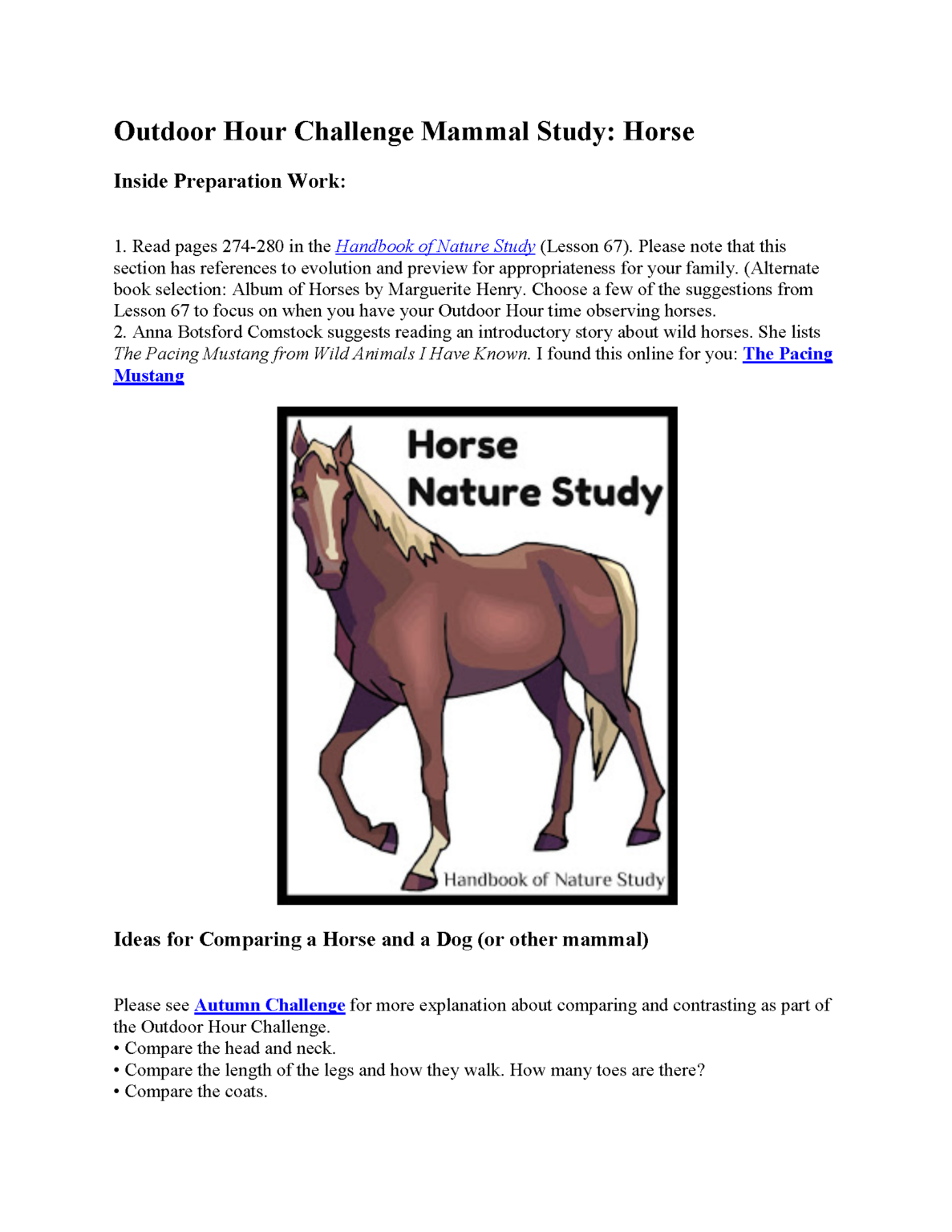 Horses Homeschool Unit Study Bundle - You ARE an ARTiST!