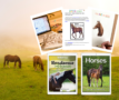 Horses Homeschool Unit Study Bundle - You ARE an ARTiST!