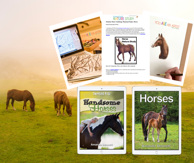Horses Homeschool Unit Study Bundle - You ARE an ARTiST!