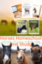 Horses Homeschool Unit Study Bundle - You ARE an ARTiST!