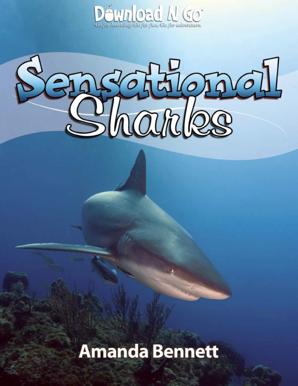 Sharks Homeschool Unit Study Bundle - You ARE an ARTiST!