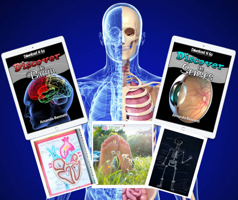 Human Anatomy Homeschool Unit Study Bundle - You ARE an ARTiST!