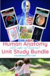 Human Anatomy Homeschool Unit Study Bundle - You ARE an ARTiST!